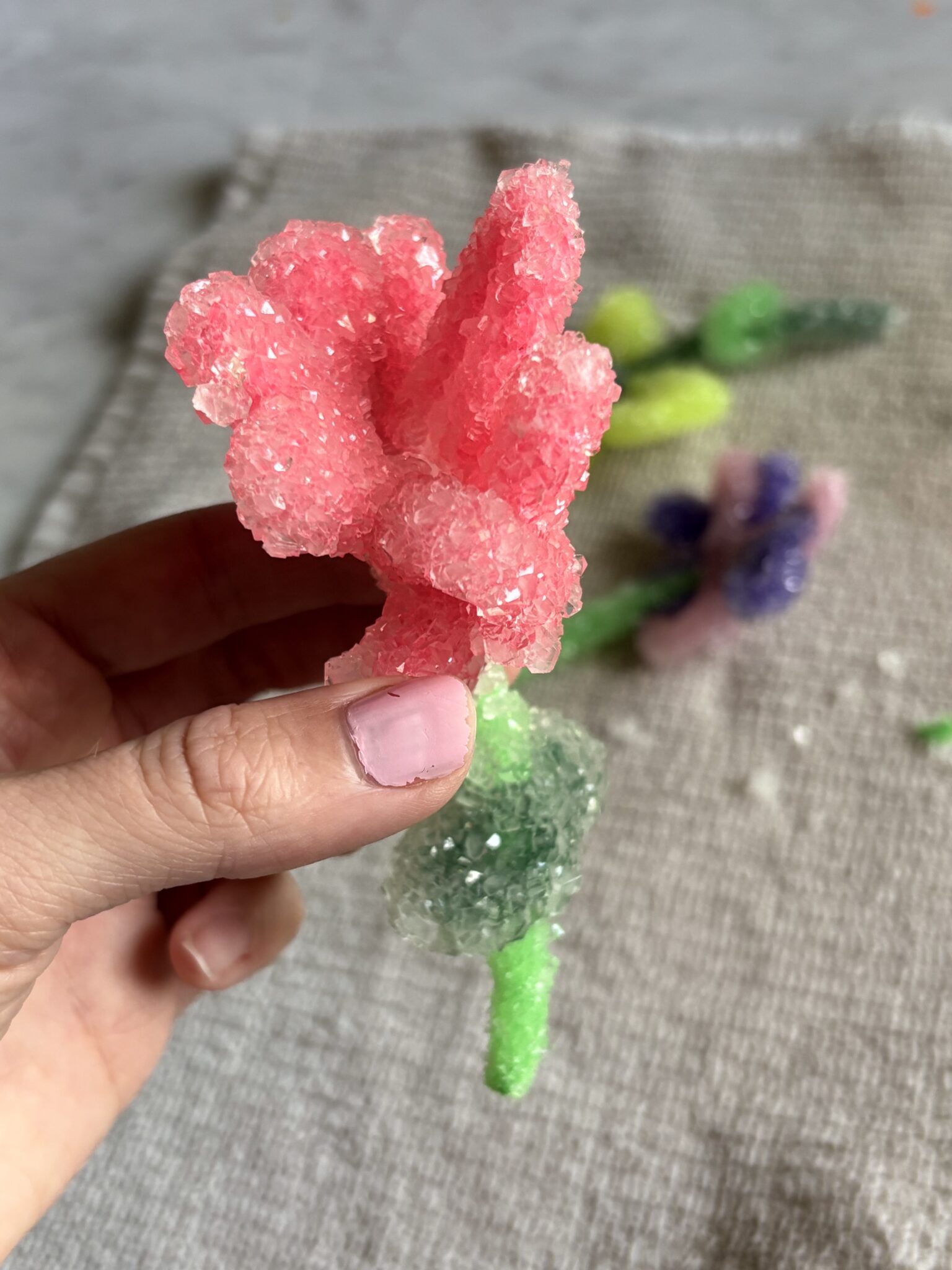 Crystal Flowers – JAMES LAYNE